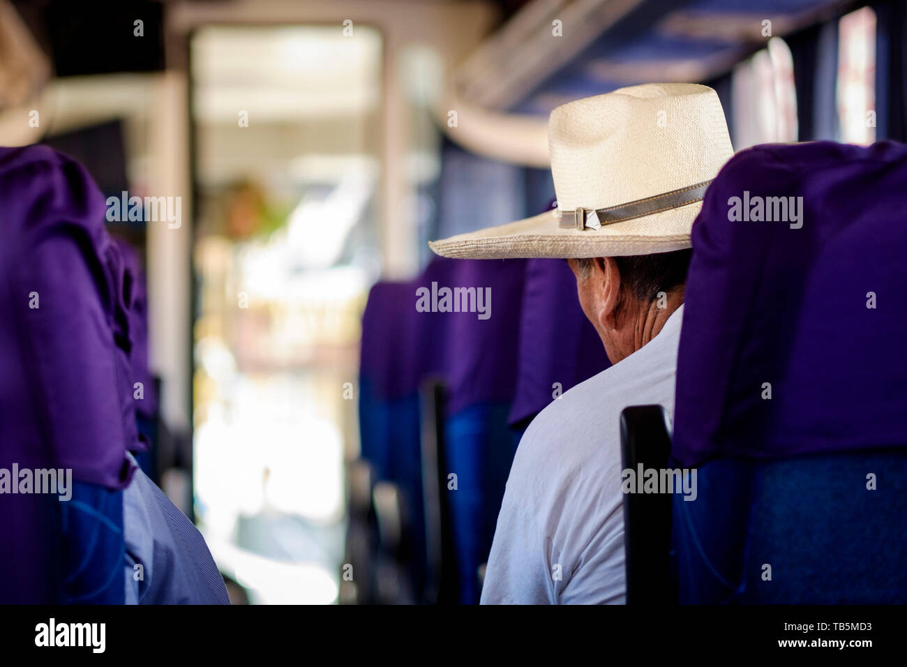Fancy bus hi-res stock photography and images - Alamy