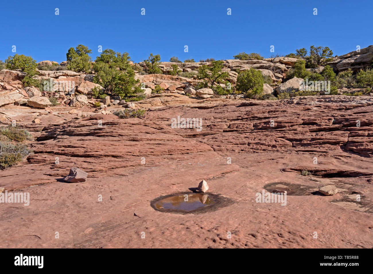 Red Rocks Mesa View above Canyon de Chelly in Arizona Stock Photo - Alamy