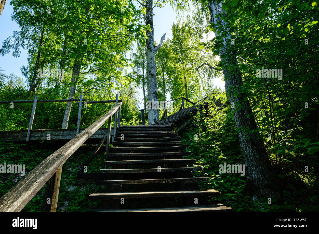 wooden fire watchtower construction details. forest tower Stock Photo ...