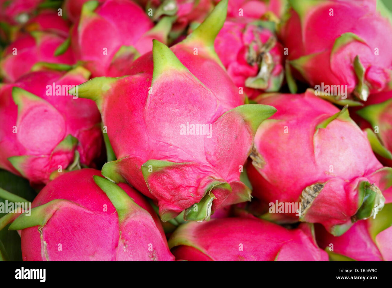 dragon fruit texture background for sale in the market Stock Photo - Alamy