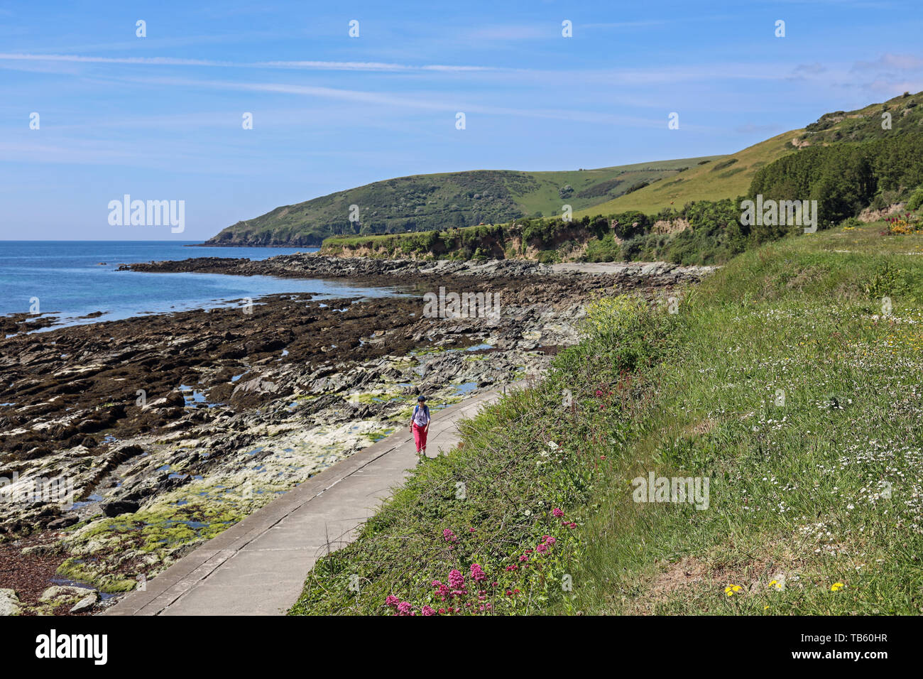 Looking westwards from Hannafore Point in West Looe Stock Photo - Alamy