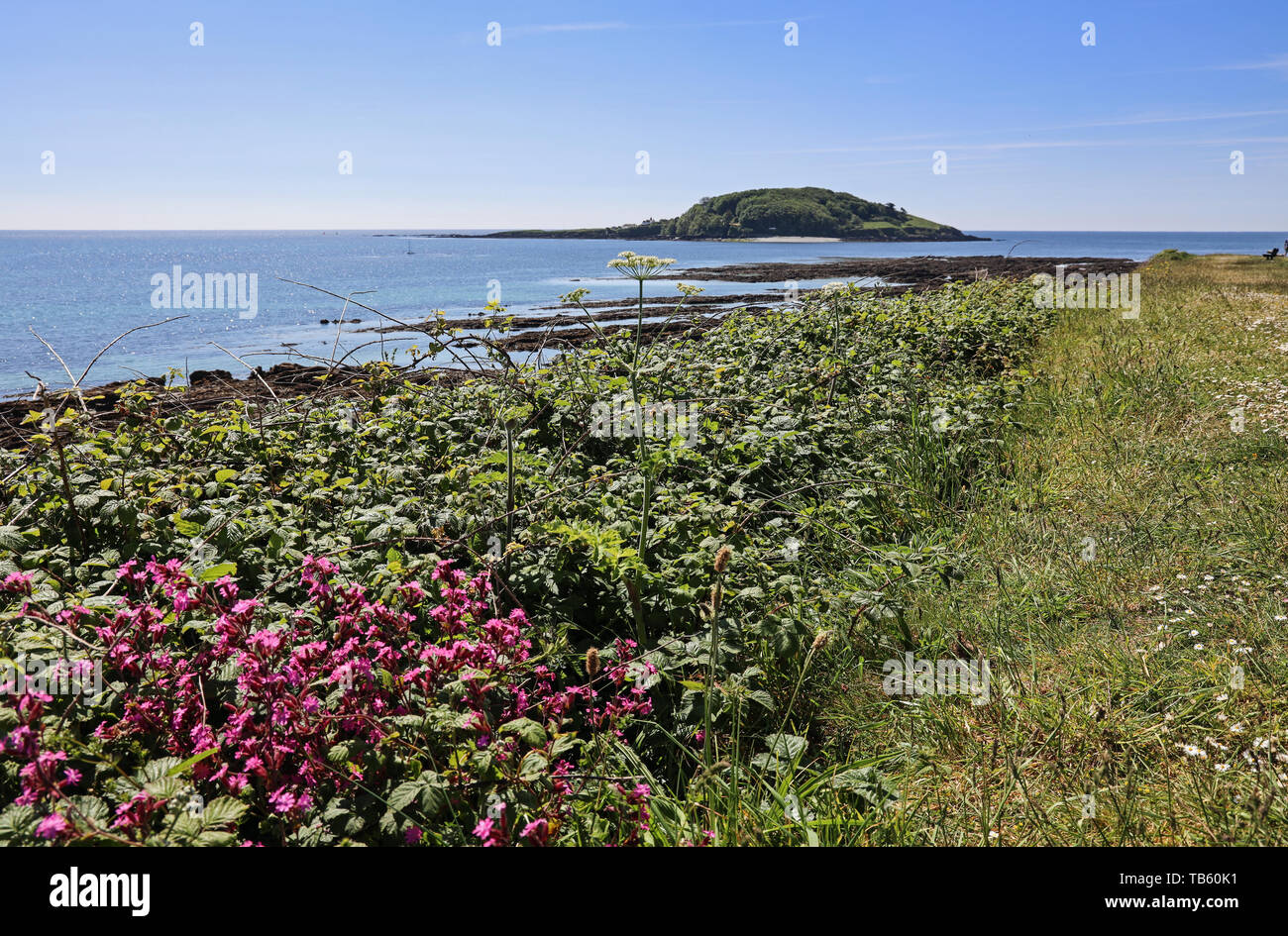 Lone Island from Hannafore Point. Cornwall Stock Photo - Alamy
