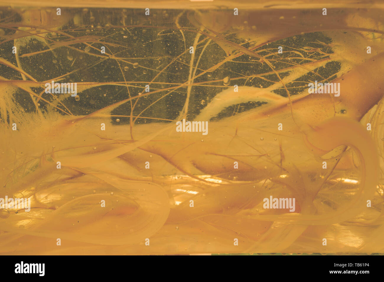 Abstract art with emulsions of oil paint in water Stock Photo - Alamy
