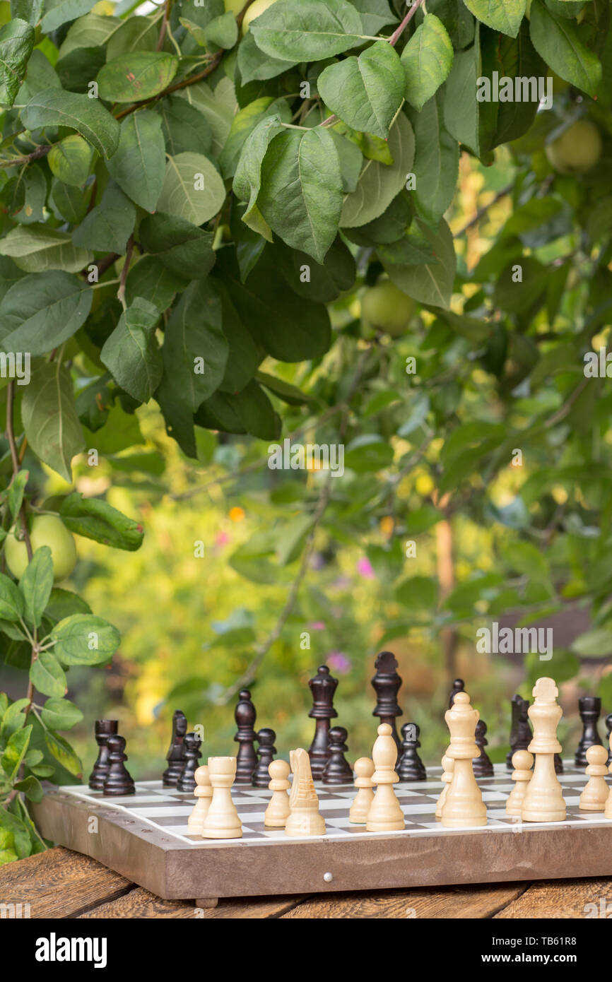 Chess board with chess pieces on wooden desk with branches of apple ...