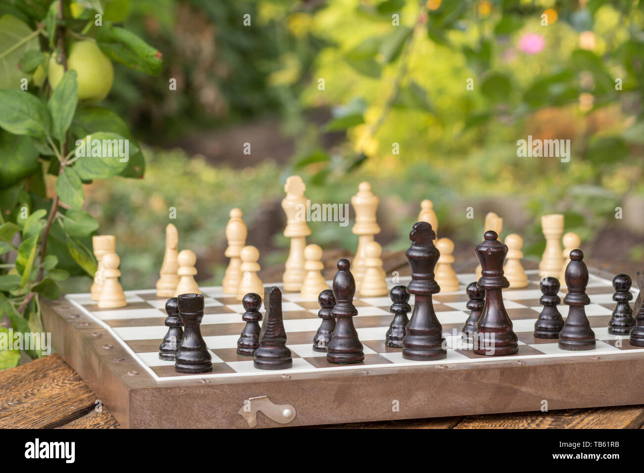 Chess board with chess pieces on wooden desk with branches of apple ...