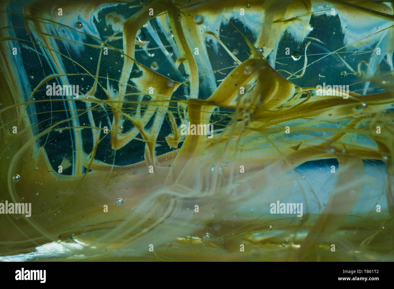 Abstract art with emulsions of oil paint in water Stock Photo - Alamy