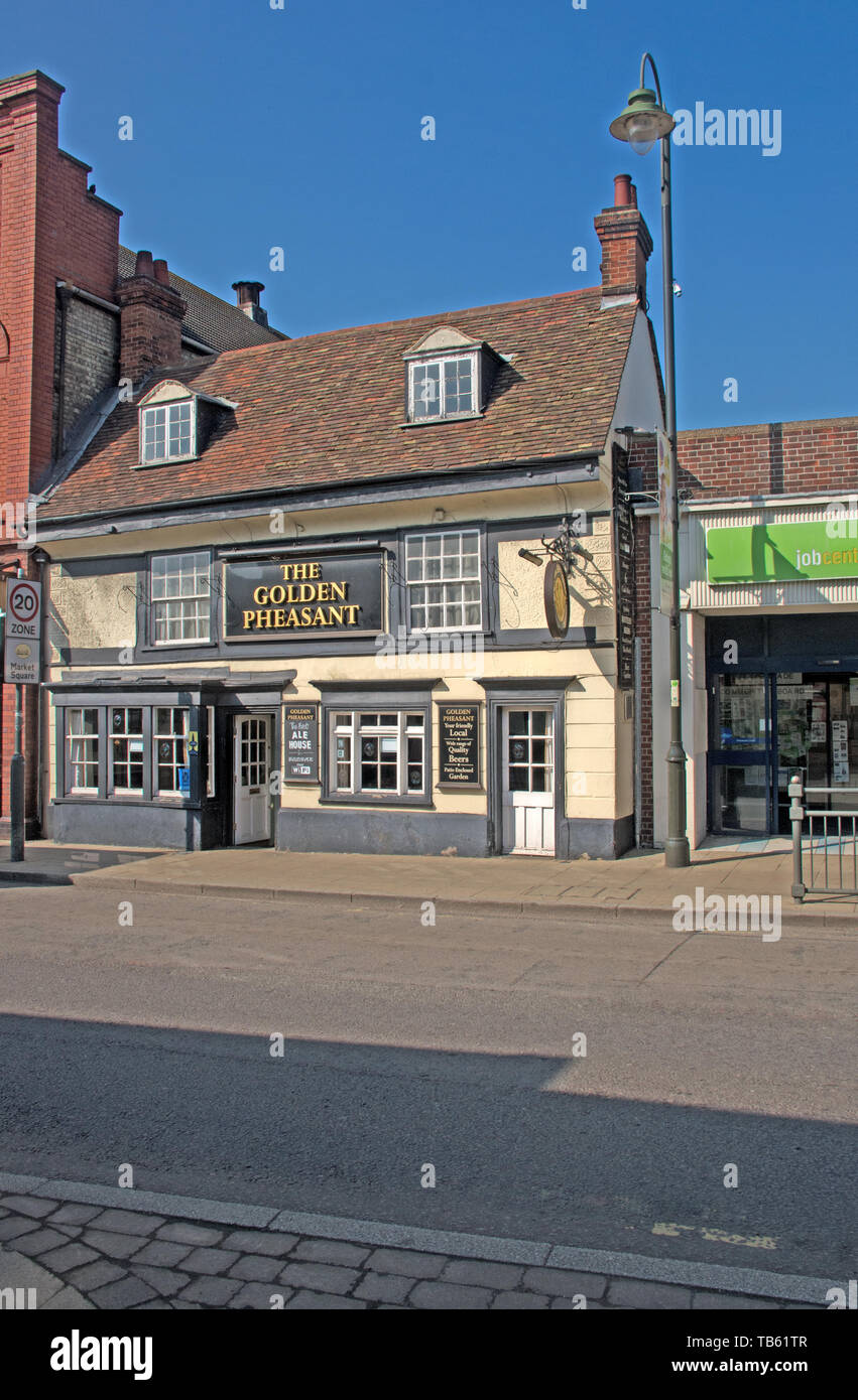 Golden pheasant uk hi-res stock photography and images - Alamy