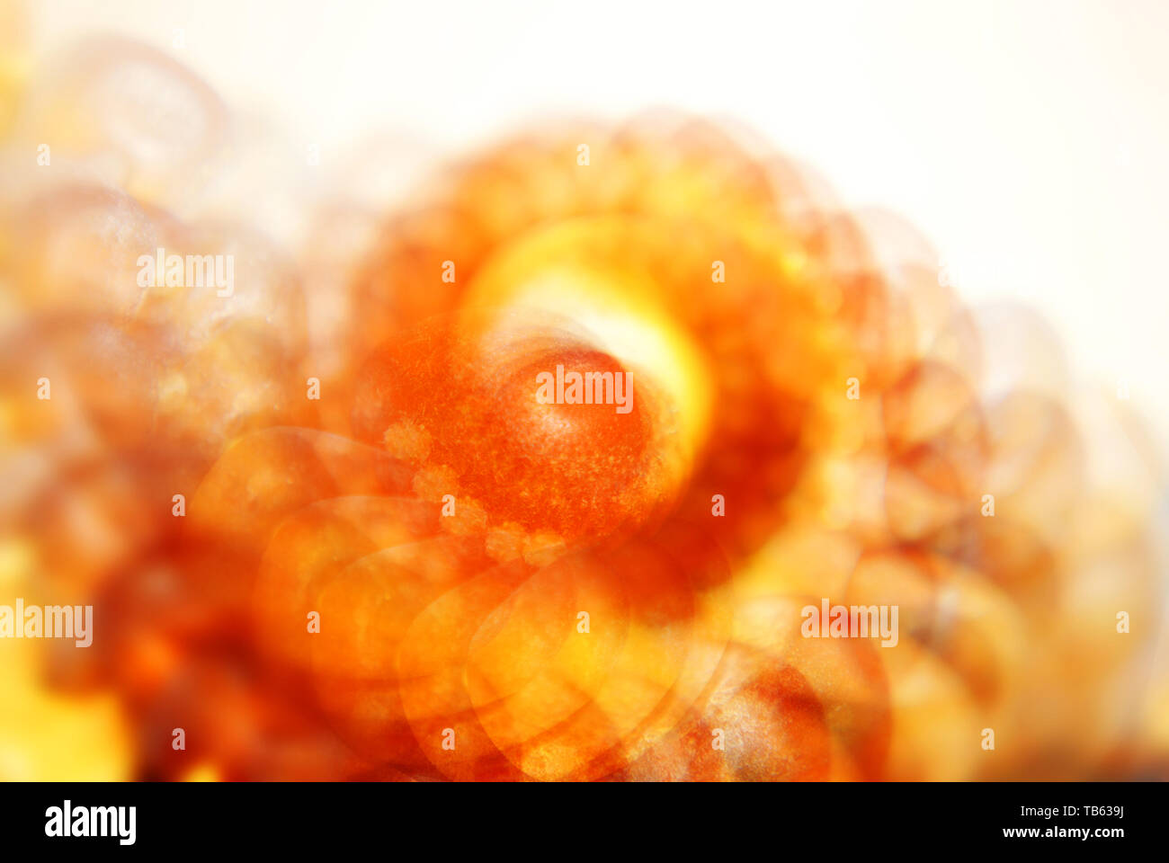 Colour full circle swirl illustration Stock Photo - Alamy