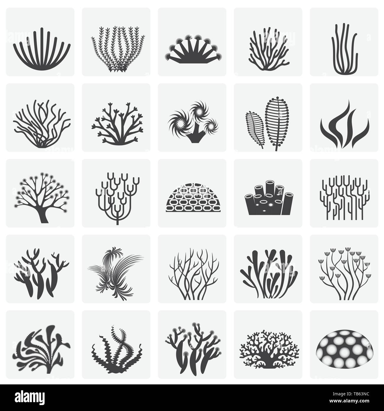 Coral icons set on background for graphic and web design. Simple ...