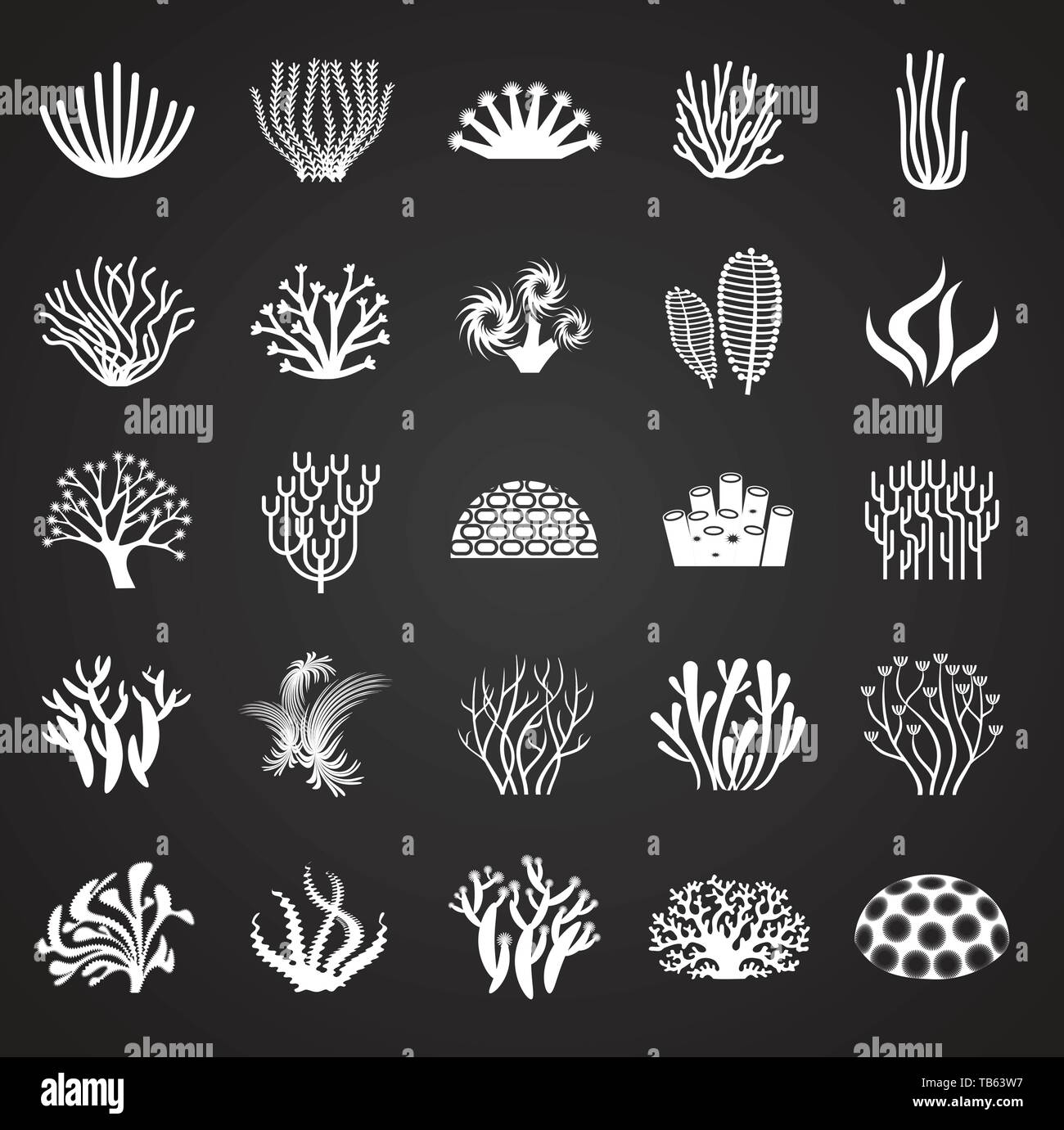 Coral Graphic Design