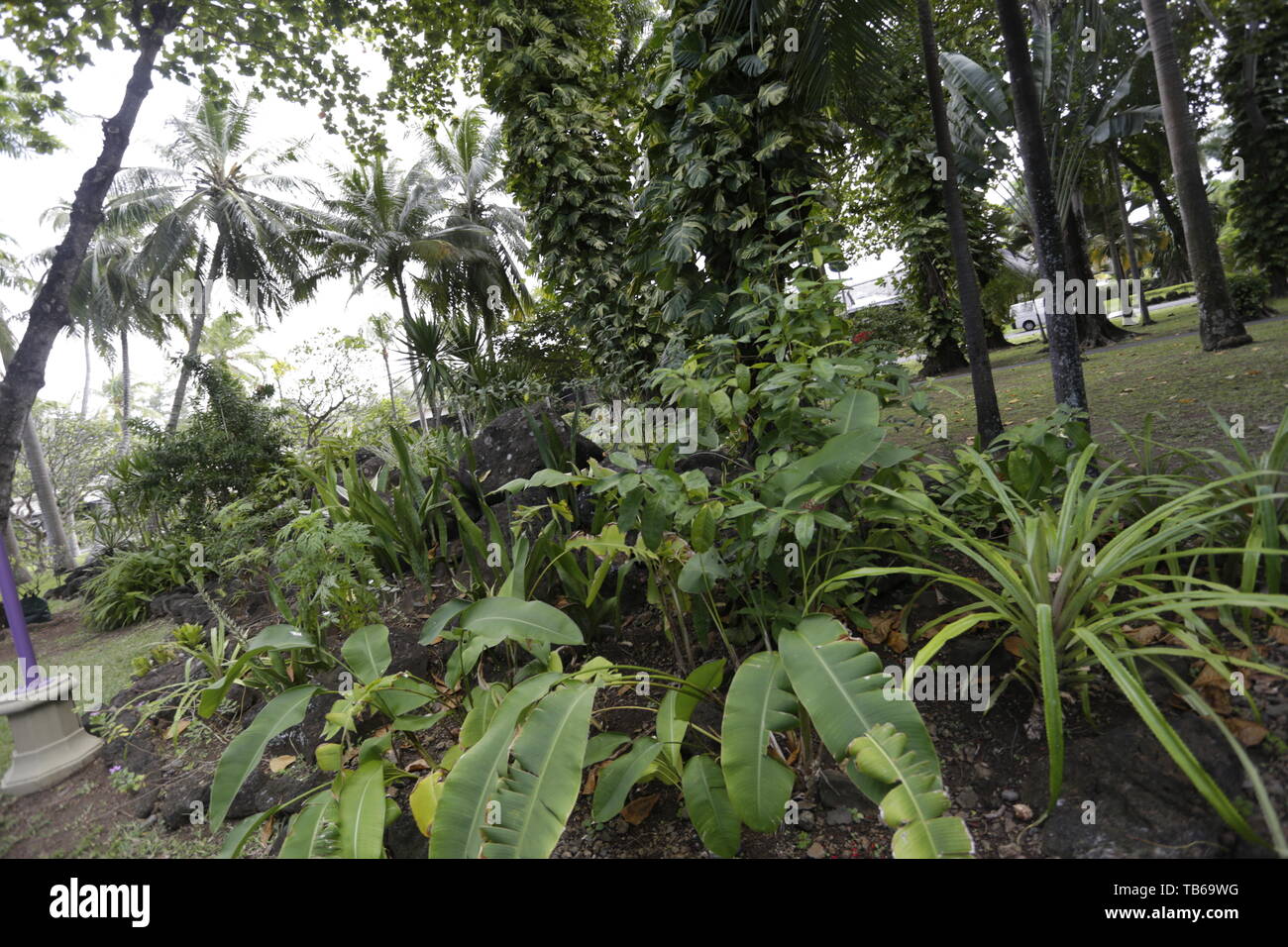 Shandrani Beachcomber Resort & Spa Stock Photo - Alamy