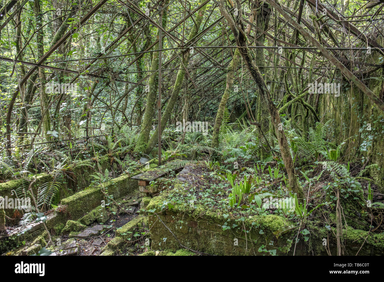 Greenhouses, Baron Hill House, Beaumaris, Anglesey UK - mansion by ...