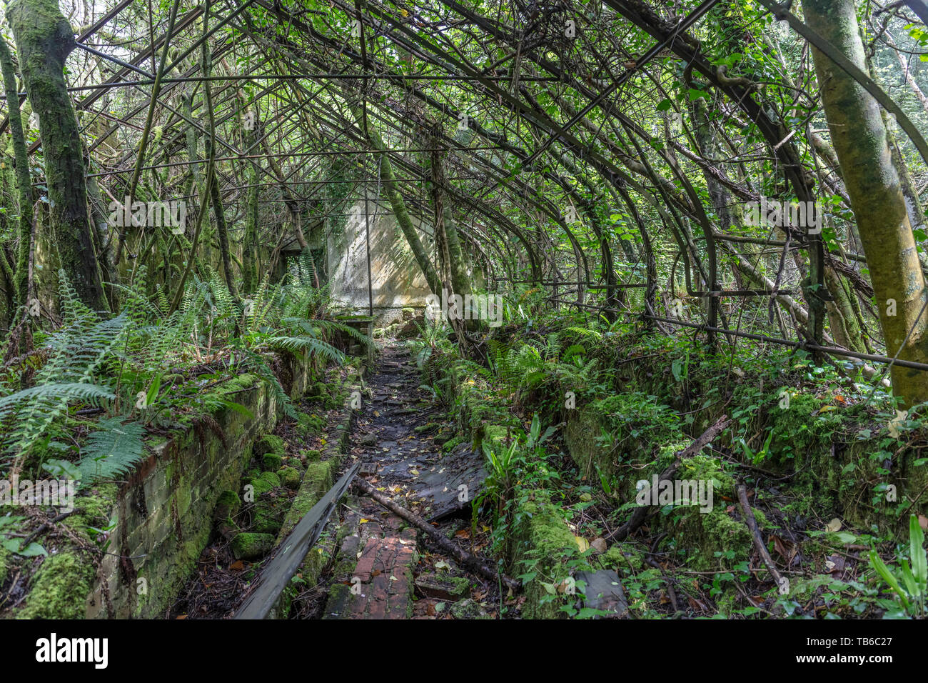 Greenhouses, Baron Hill House, Beaumaris, Anglesey UK - mansion by ...
