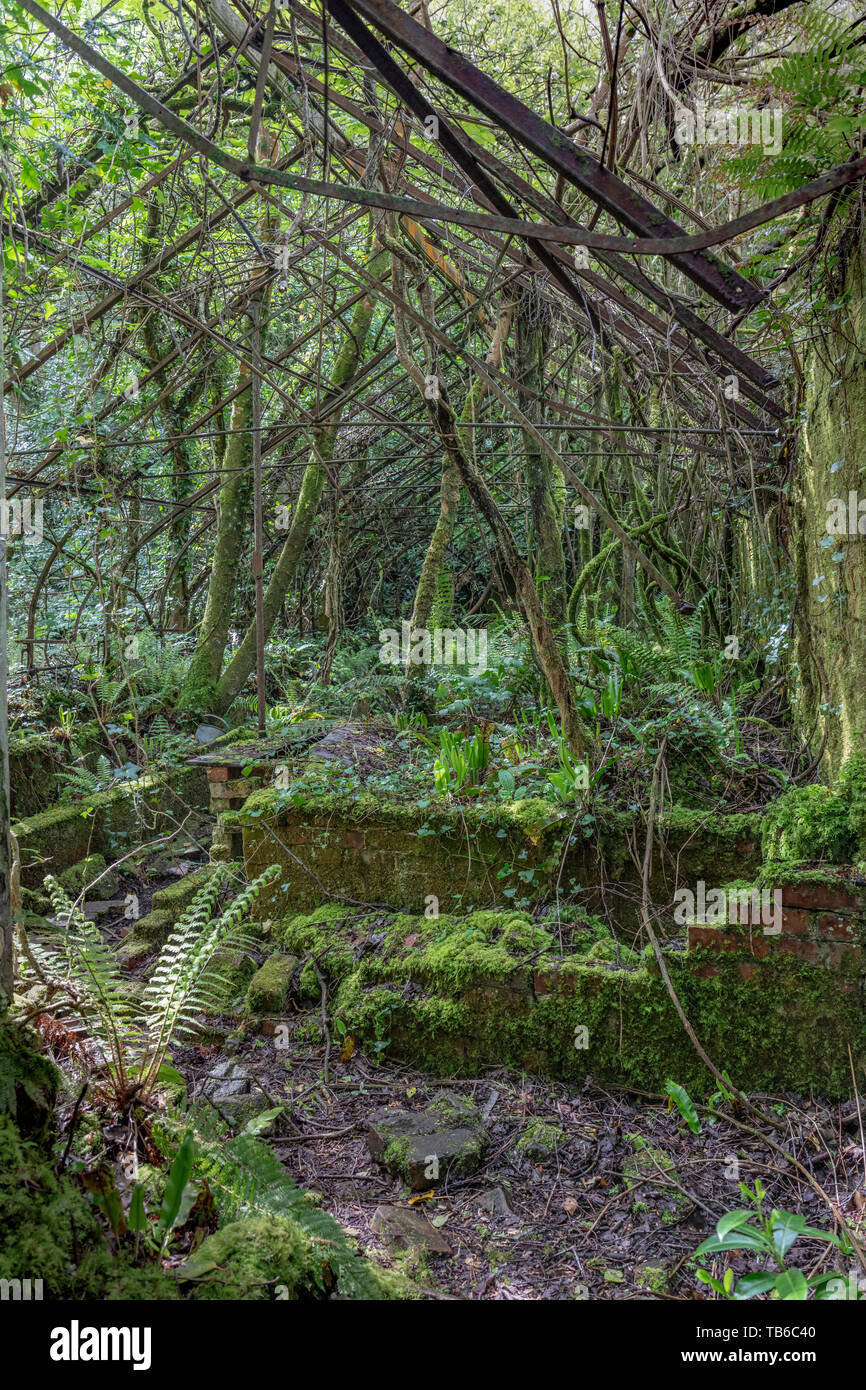 Greenhouses, Baron Hill House, Beaumaris, Anglesey UK - mansion by ...