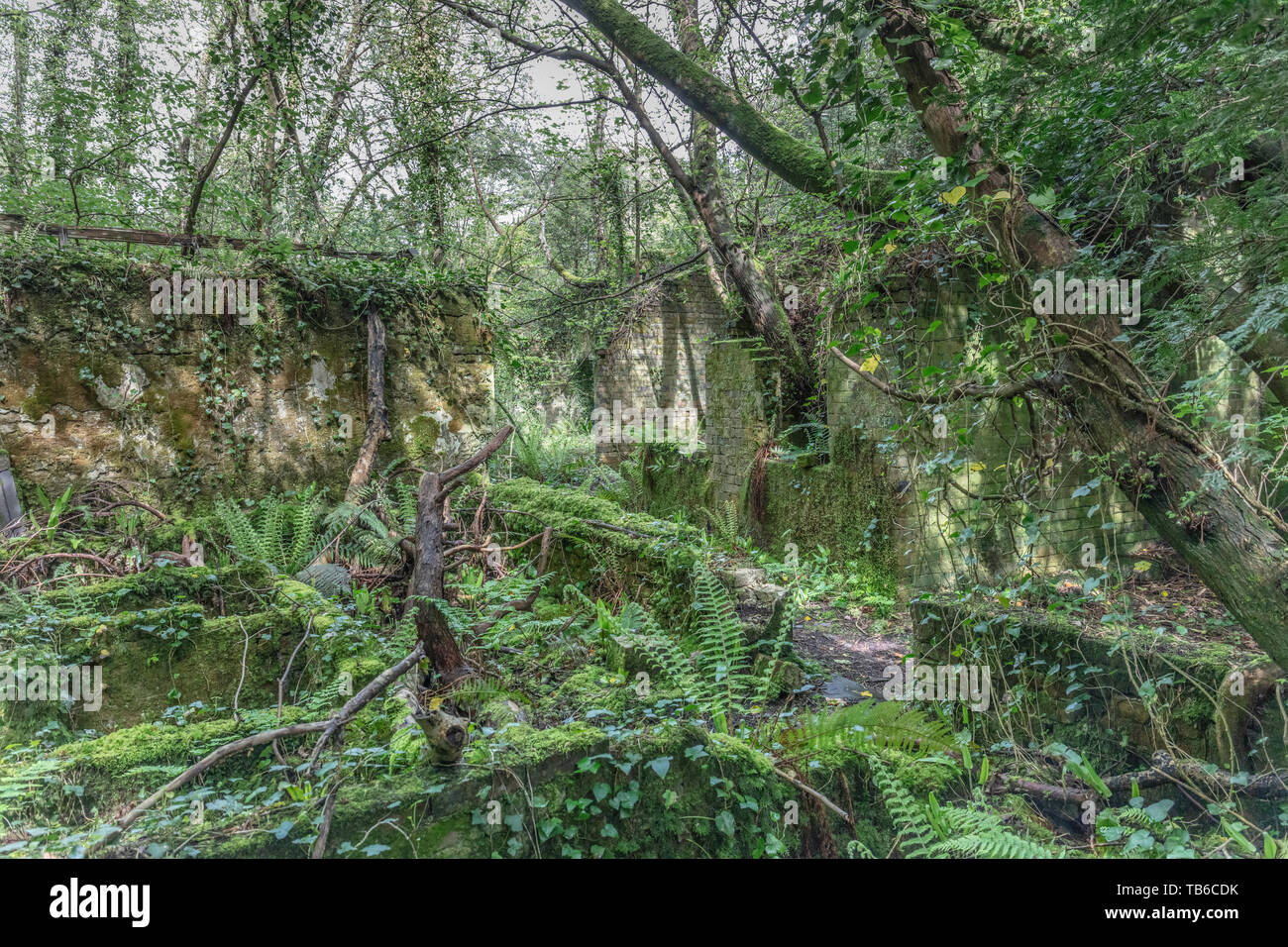 Lost World, Baron Hill House, Beaumaris, Ynys Mon, Anglesey UK ...