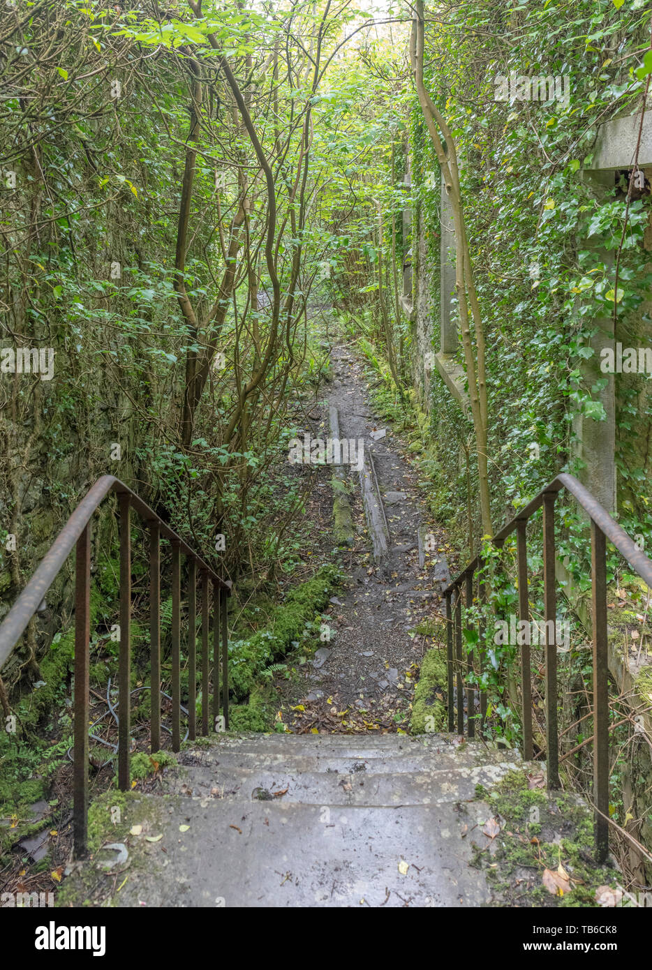 Lost World, Baron Hill House, Beaumaris, Ynys Mon, Anglesey UK ...