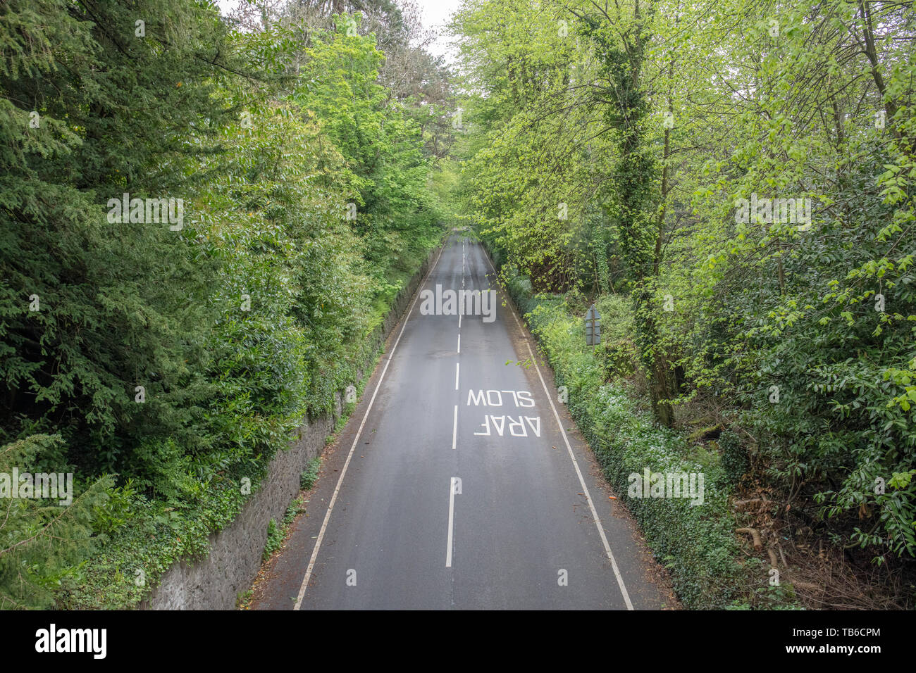 Lost World, Baron Hill House, Beaumaris, Ynys Mon, Anglesey UK ...