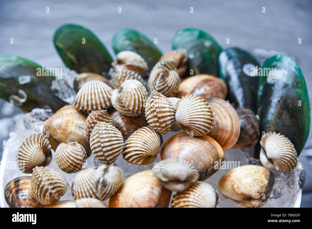 Shellfish on ice background / Fresh raw blood cockle green mussels and ...