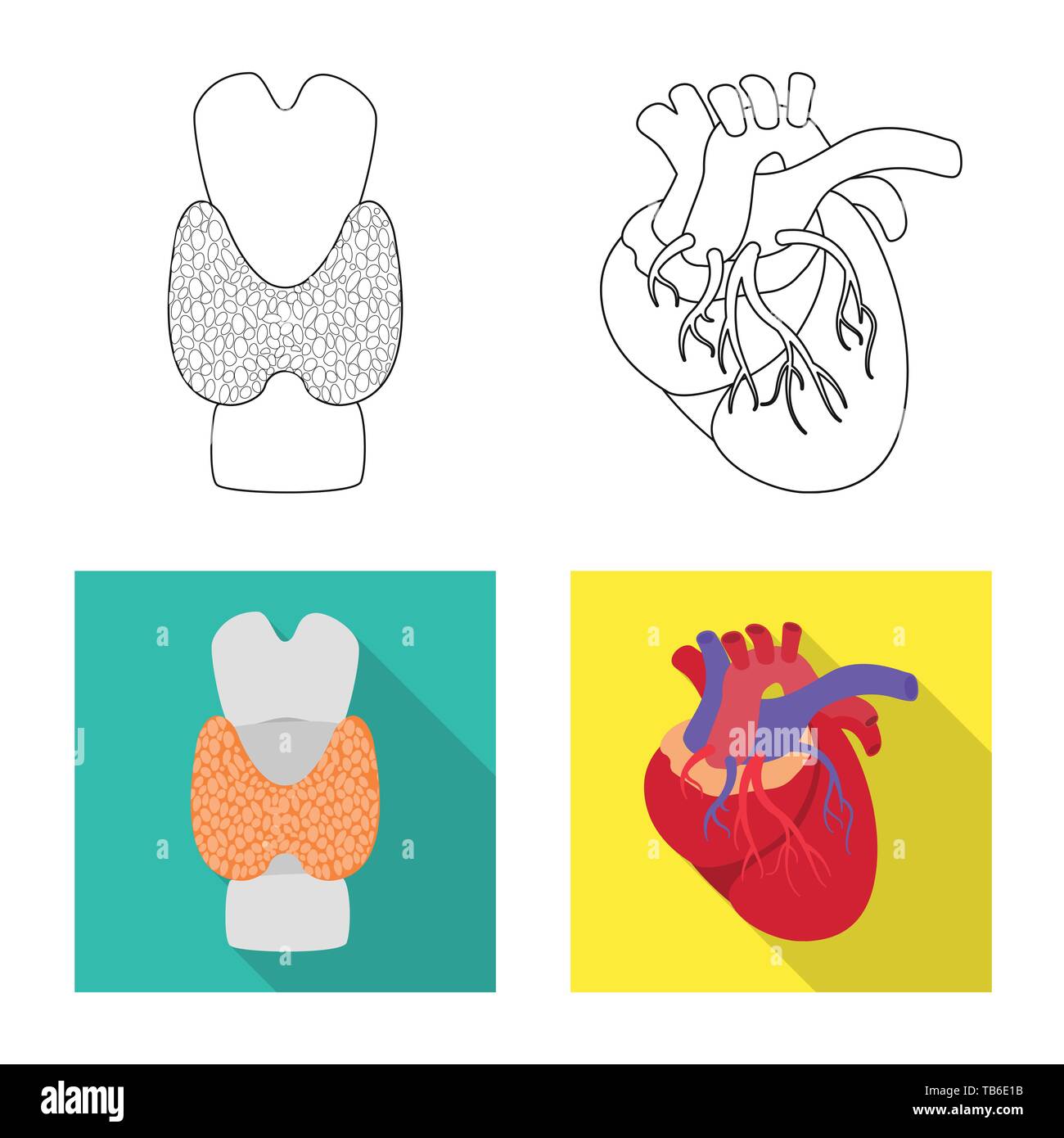 Vector illustration of biology and scientific sign. Collection of ...