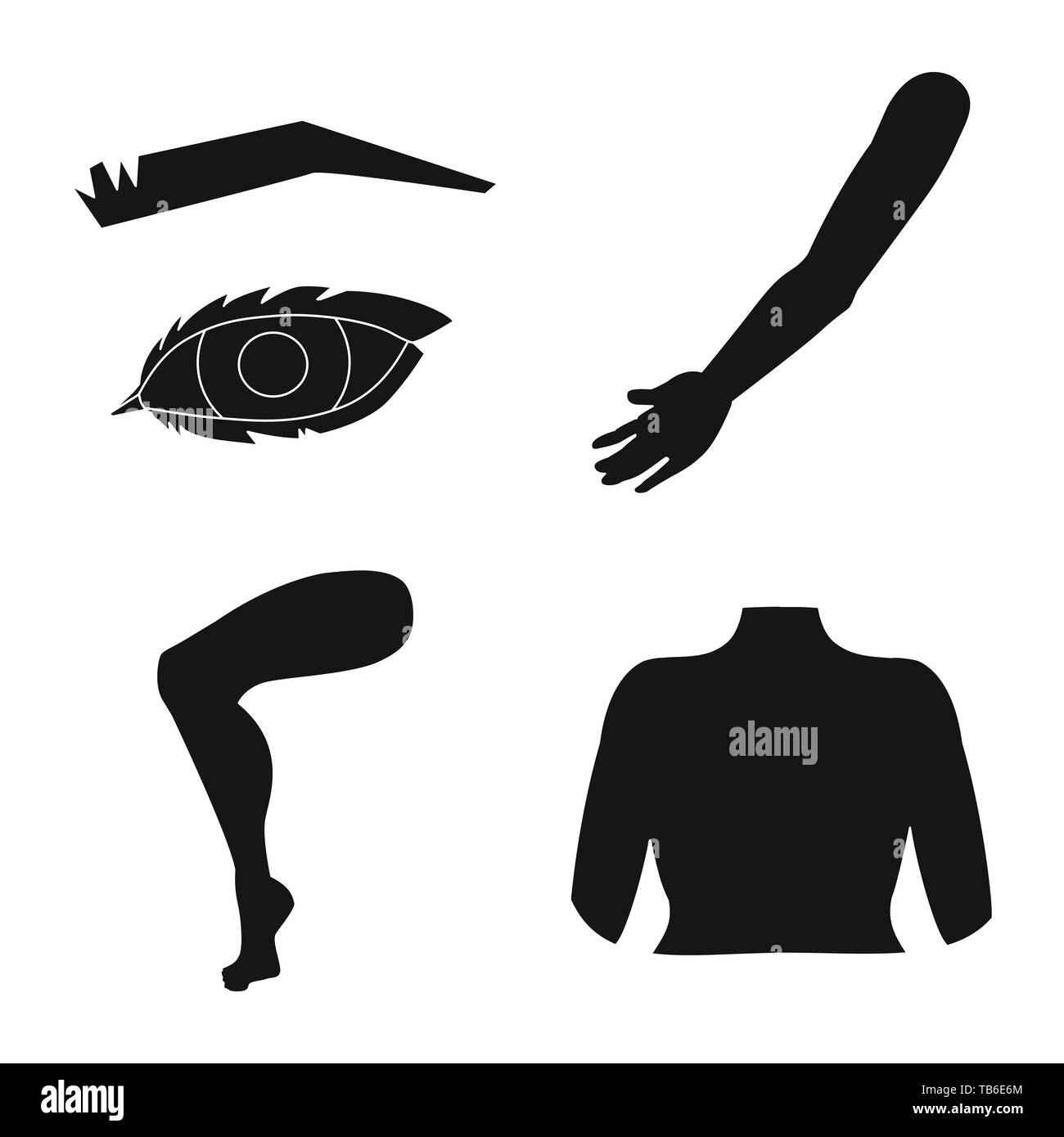 Isolated object of body and part symbol. Set of body and anatomy stock ...