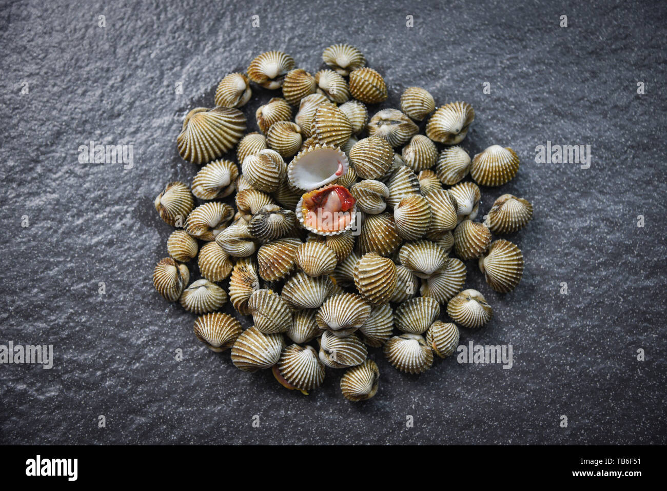 Blood clam hi-res stock photography and images - Alamy
