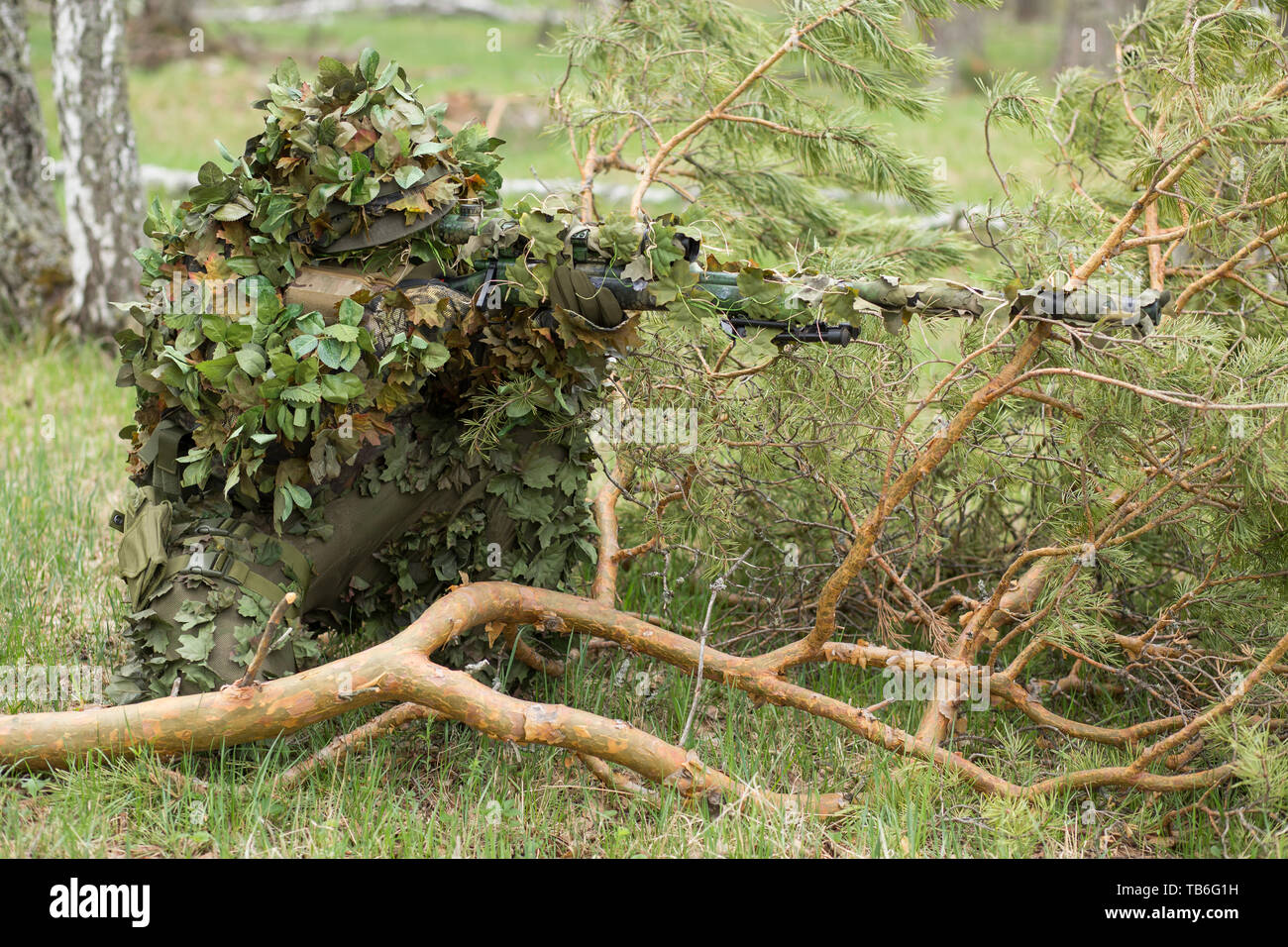 Camouflaged sniper in the forest in ambush. Military man aiming a gun ...