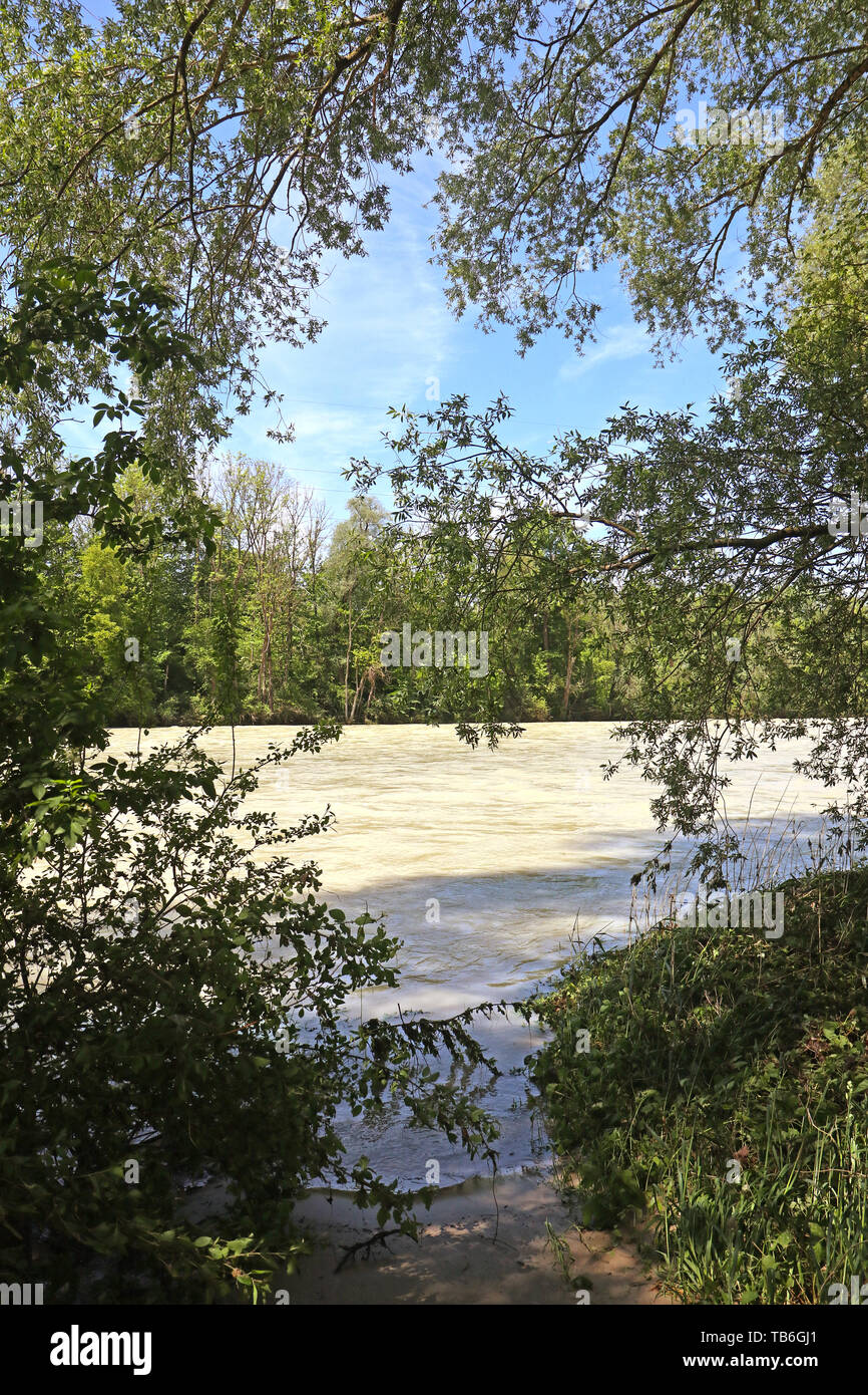 Isarauen national park, Upper Bavaria: the Isar river in flood with ...