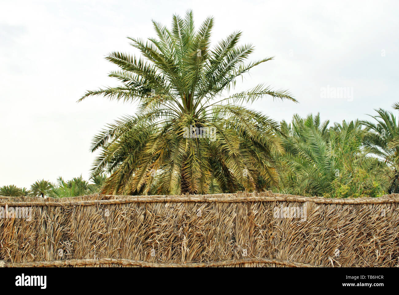 Paradise bahrain hi-res stock photography and images - Alamy