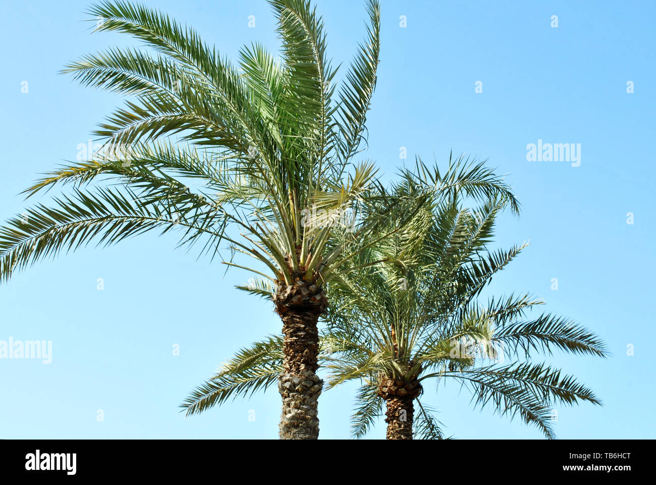 Paradise bahrain hi-res stock photography and images - Alamy