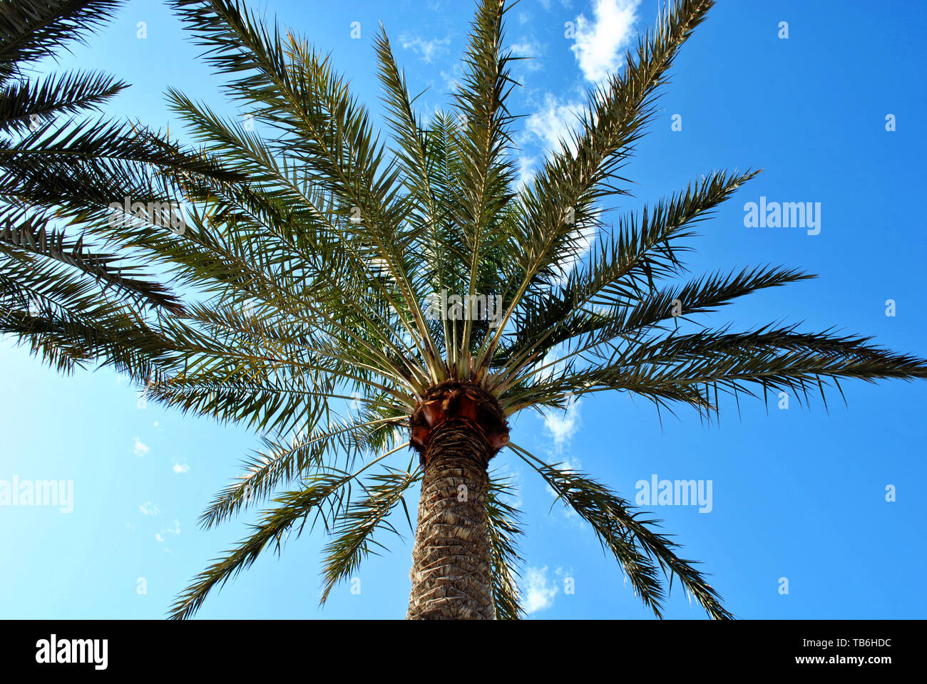 Paradise bahrain hi-res stock photography and images - Alamy