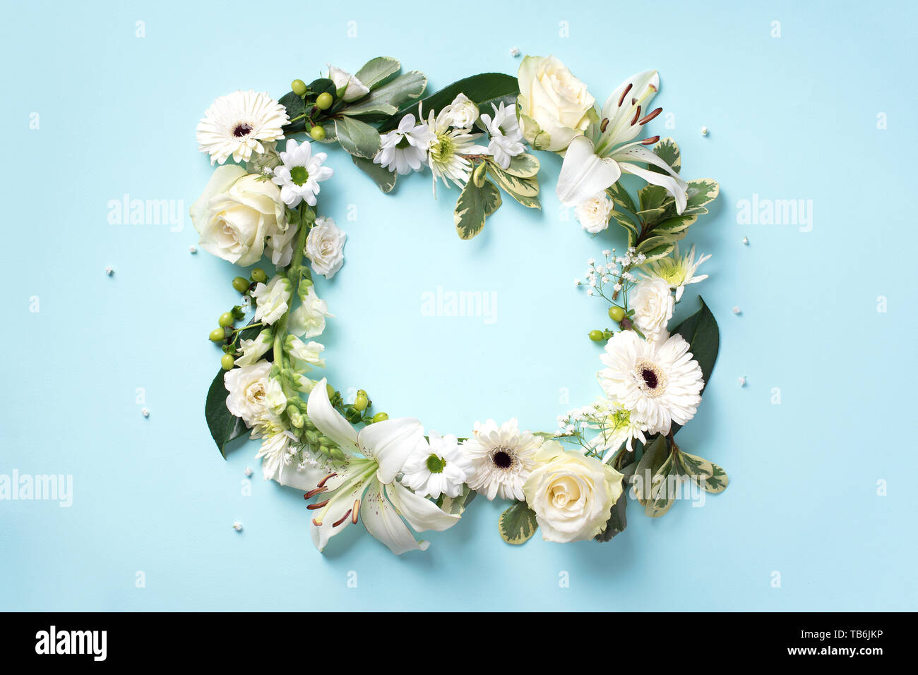 Spring composition of white flowers on blue paper background with copy ...