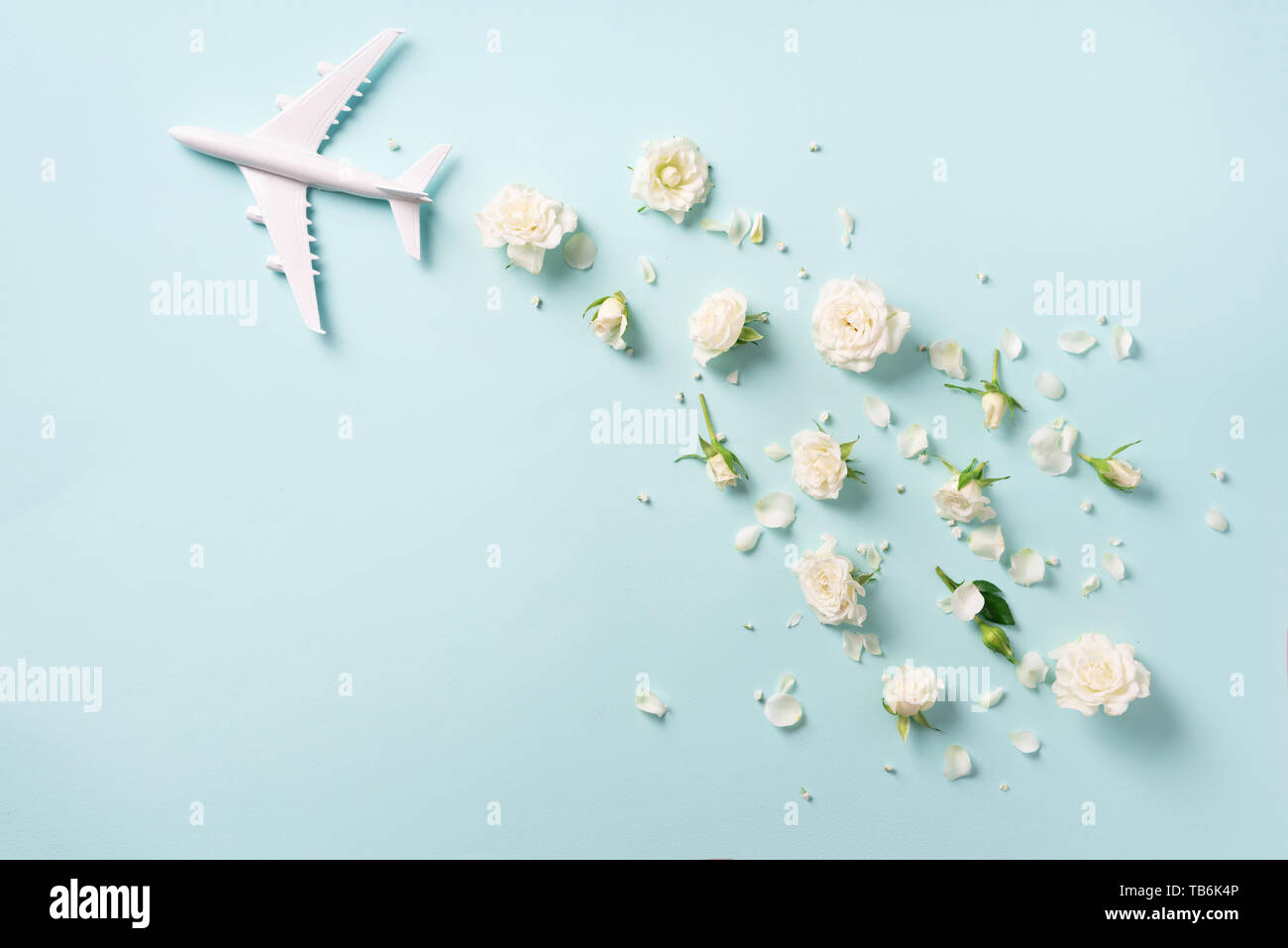 Travel concept with white plane and flowers, petals on blue background ...