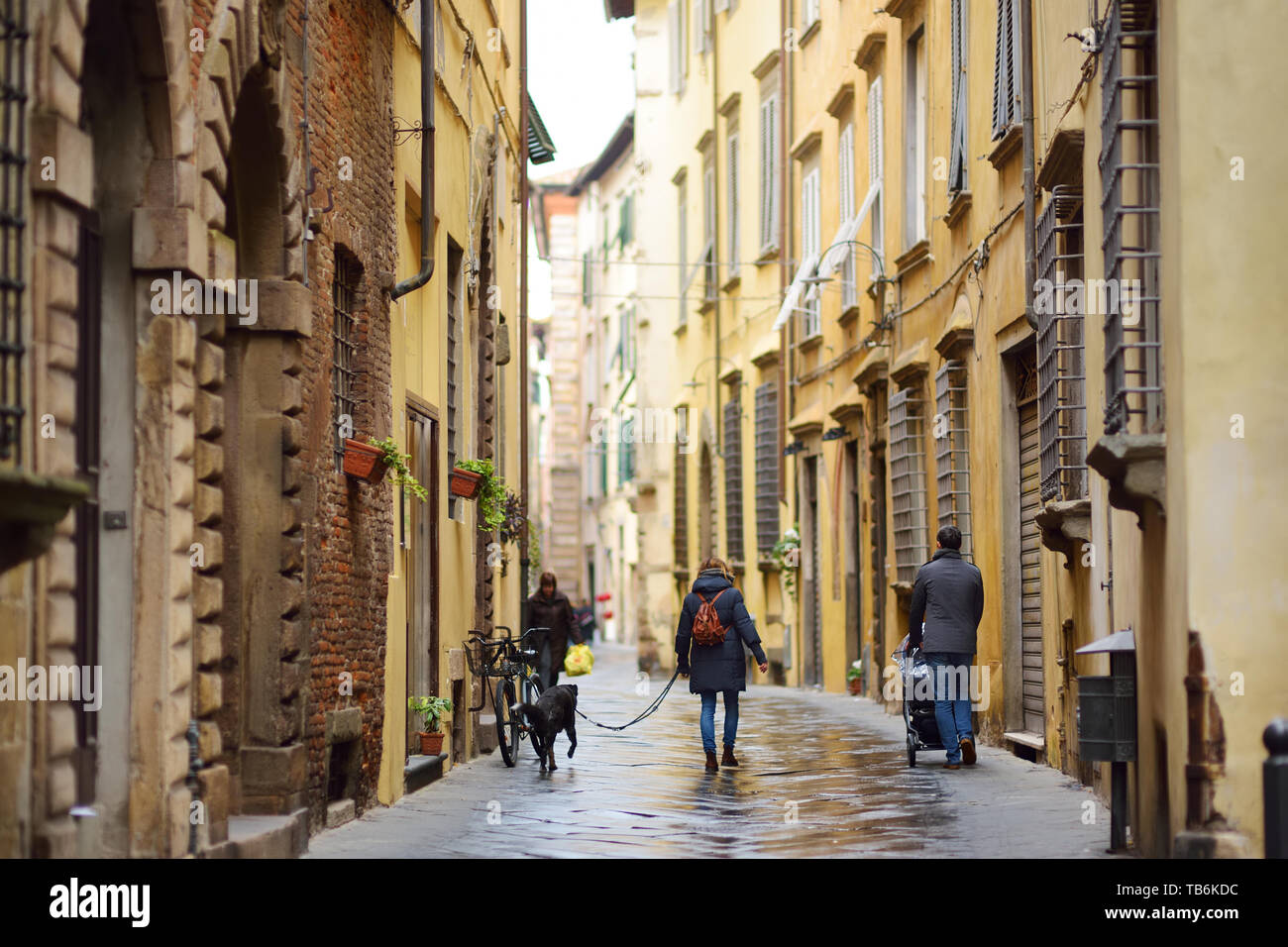 Beautiful medieval streets of Lucca city, known for its intact ...