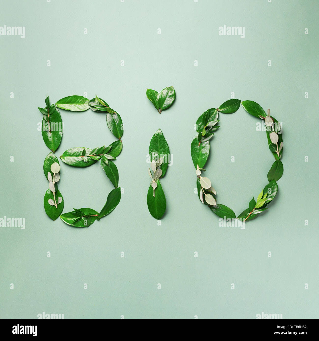 Word Bio made of leaves on green background. Top view. Flat lay ...