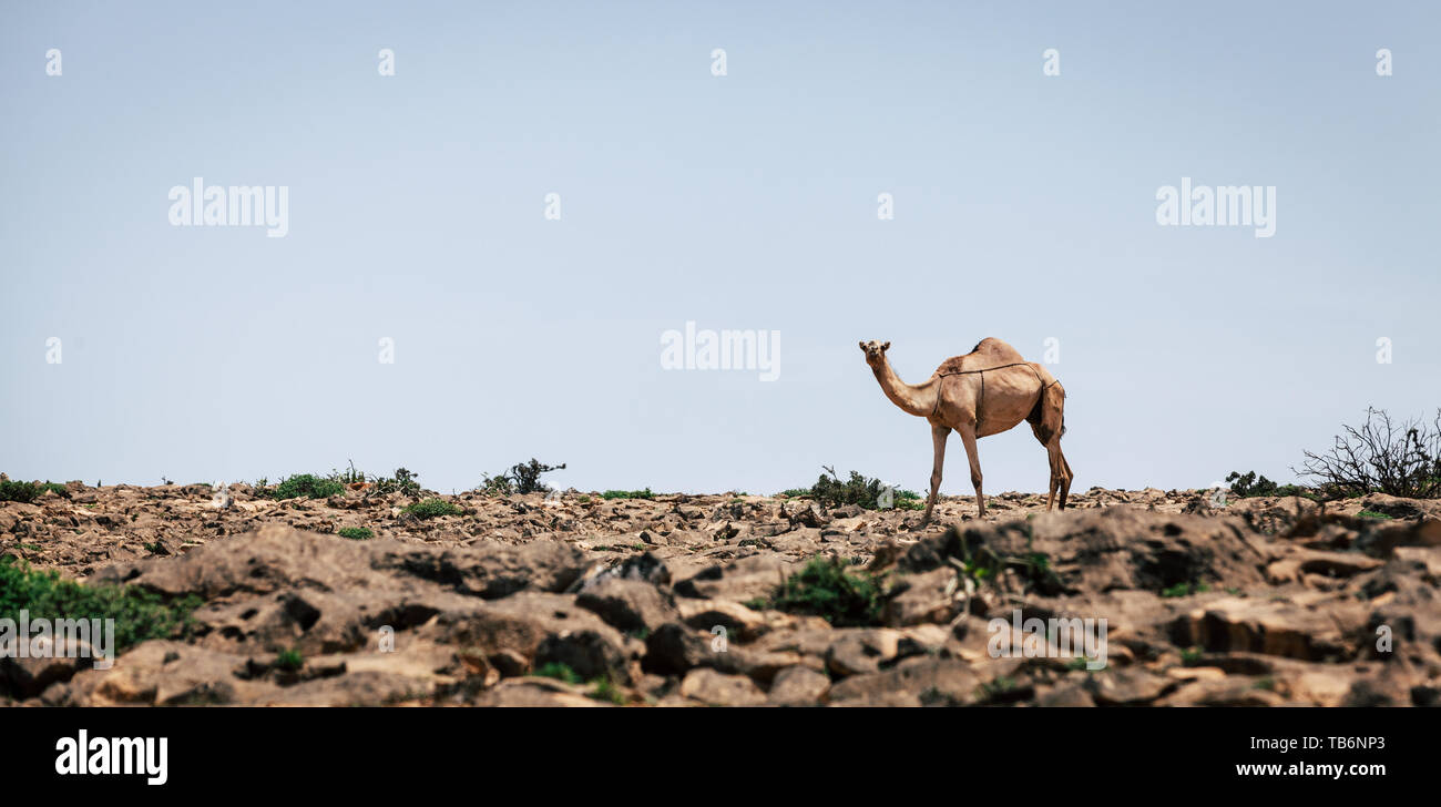 Jebel samhan hi-res stock photography and images - Alamy
