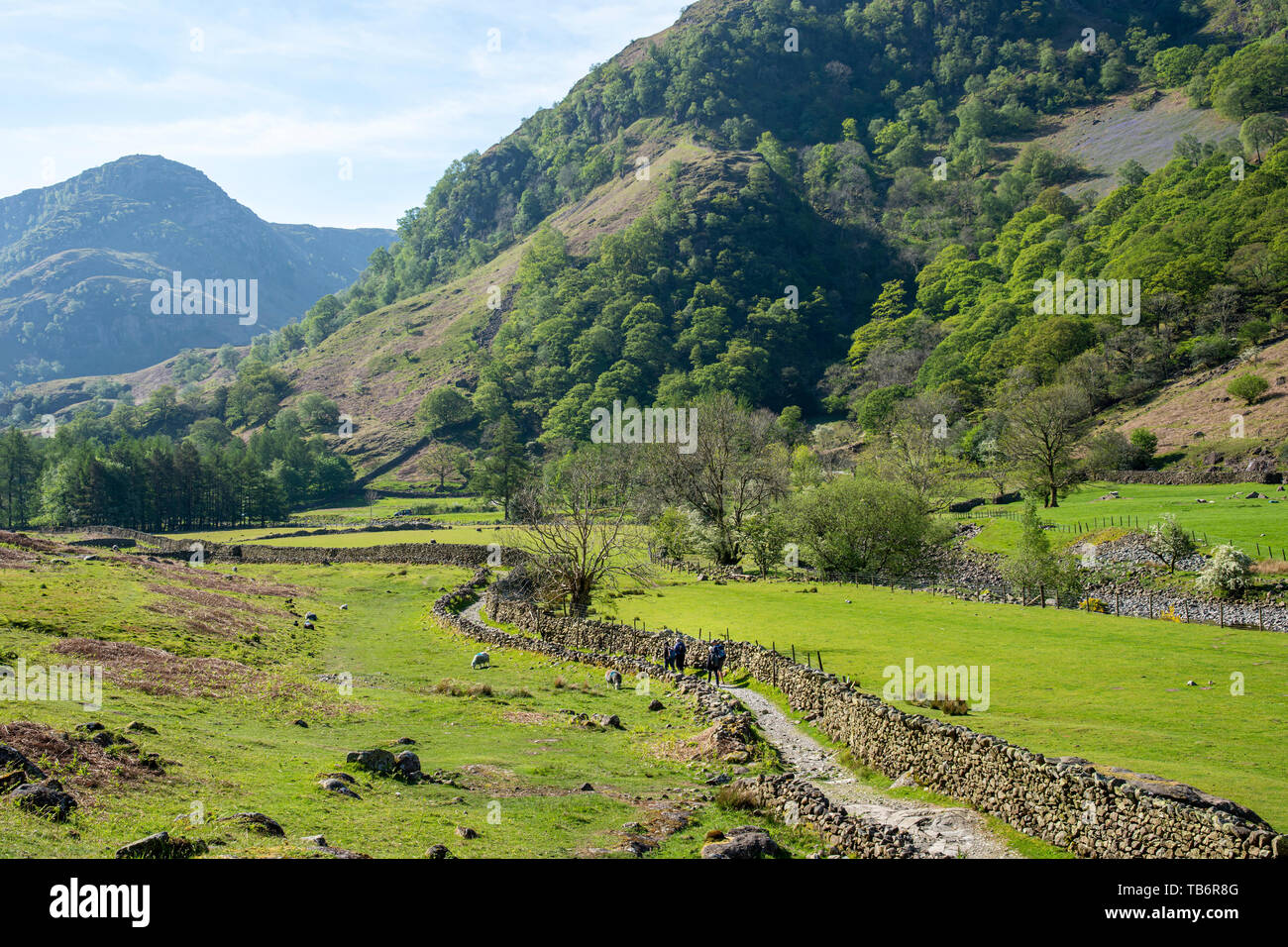 Walking the footpaths in the Langstrath Valley which forms part of the ...