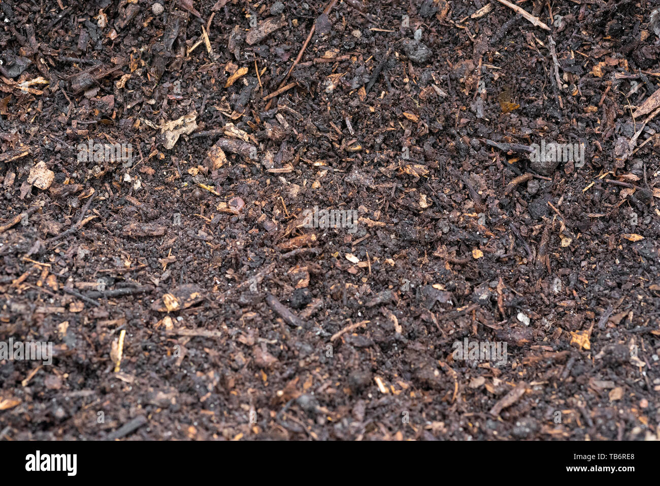 Well rotted garden compost Stock Photo - Alamy