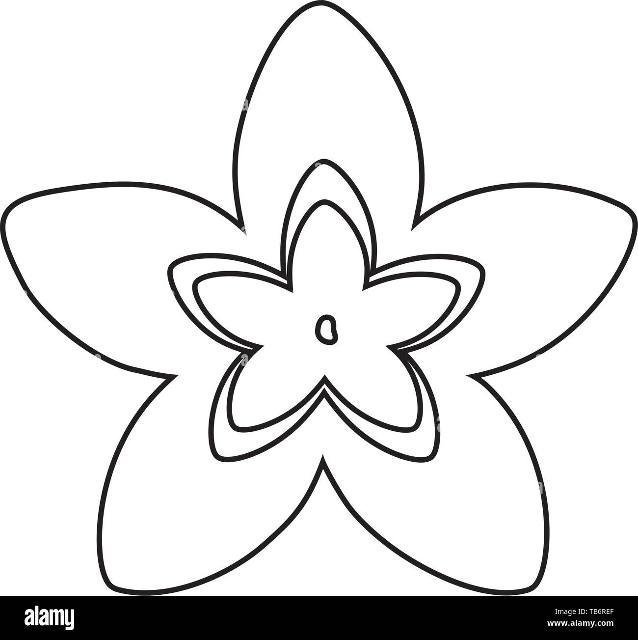 Tropical flower and petals nature cartoon vector illustration graphic ...