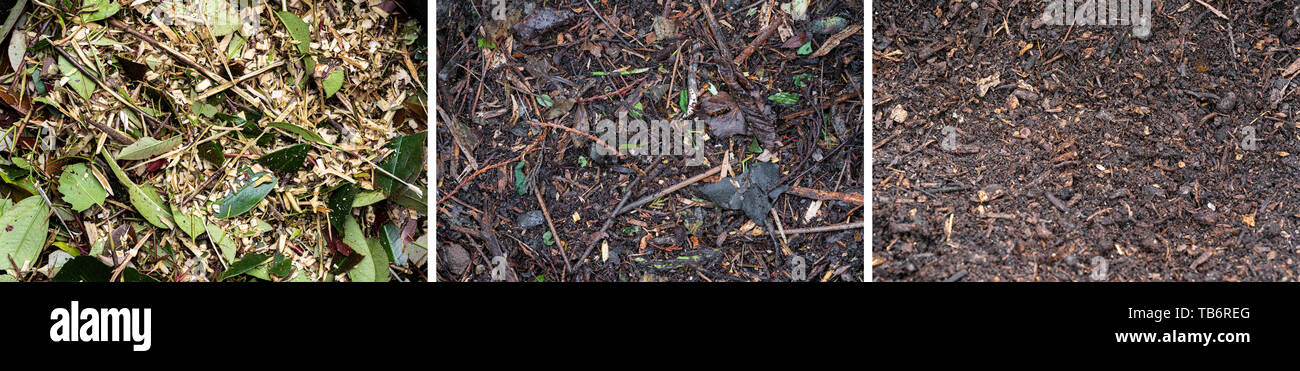 Three images showing shredded, partial decomposition and well rotted ...