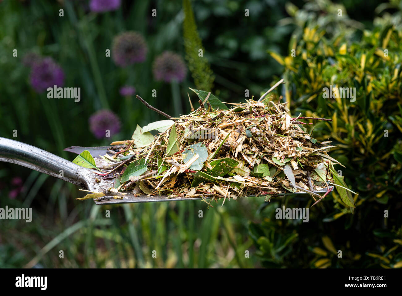 Composting garden recycle waste hi-res stock photography and images - Alamy