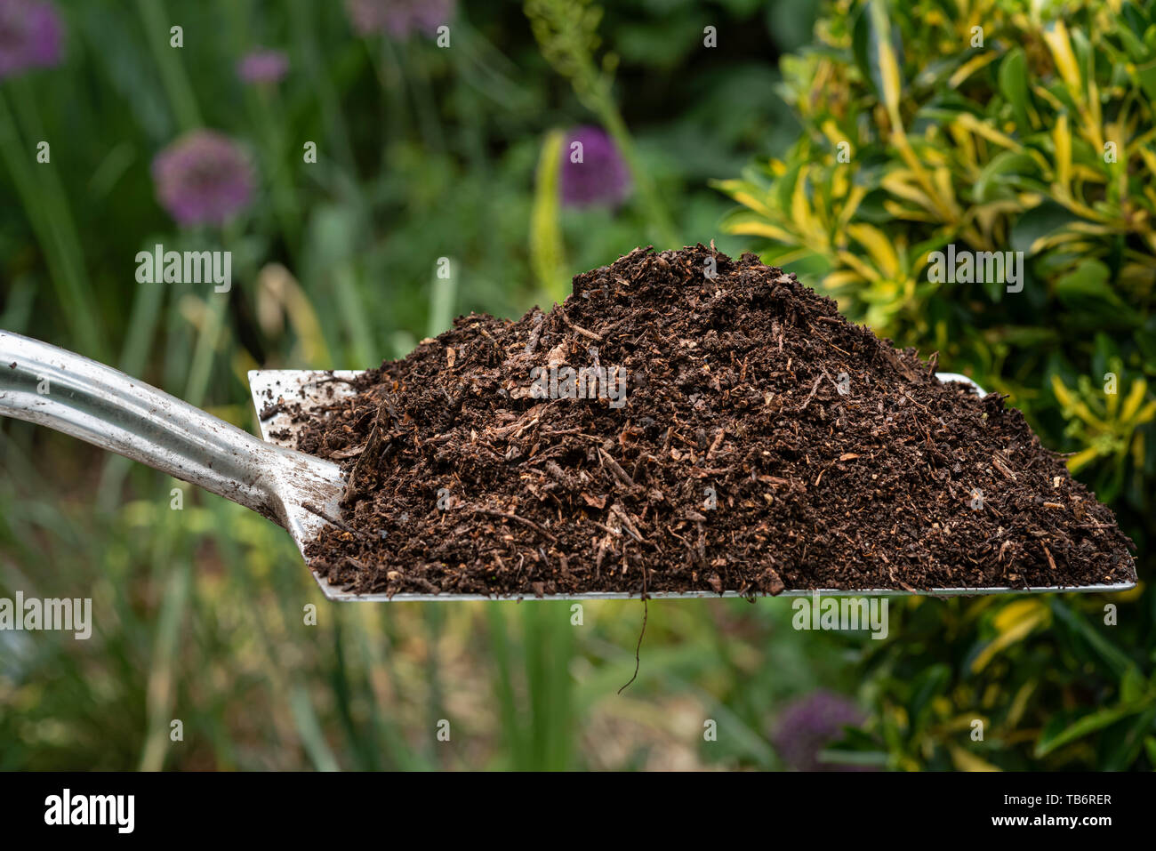 Well rotted garden compost Stock Photo - Alamy