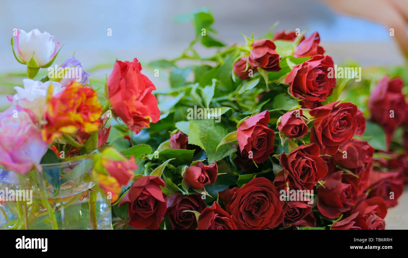 Bunch of red roses Stock Photo - Alamy