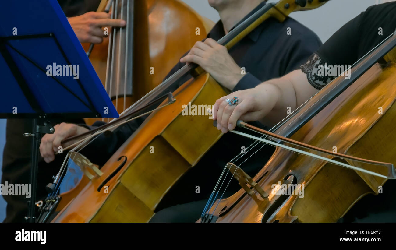 Viol Player High Resolution Stock Photography and Images - Alamy