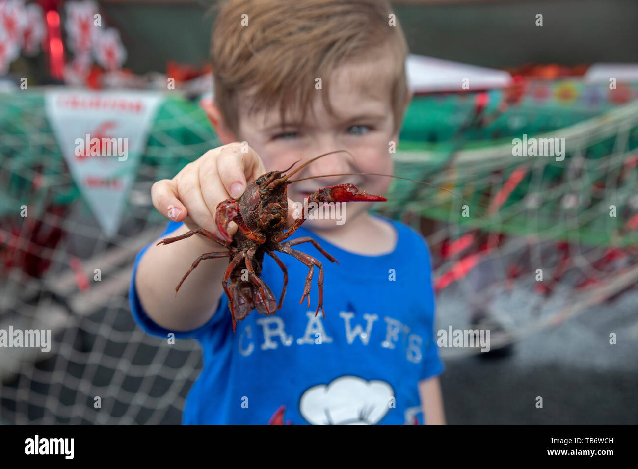 Louisiana crayfish hi-res stock photography and images - Alamy