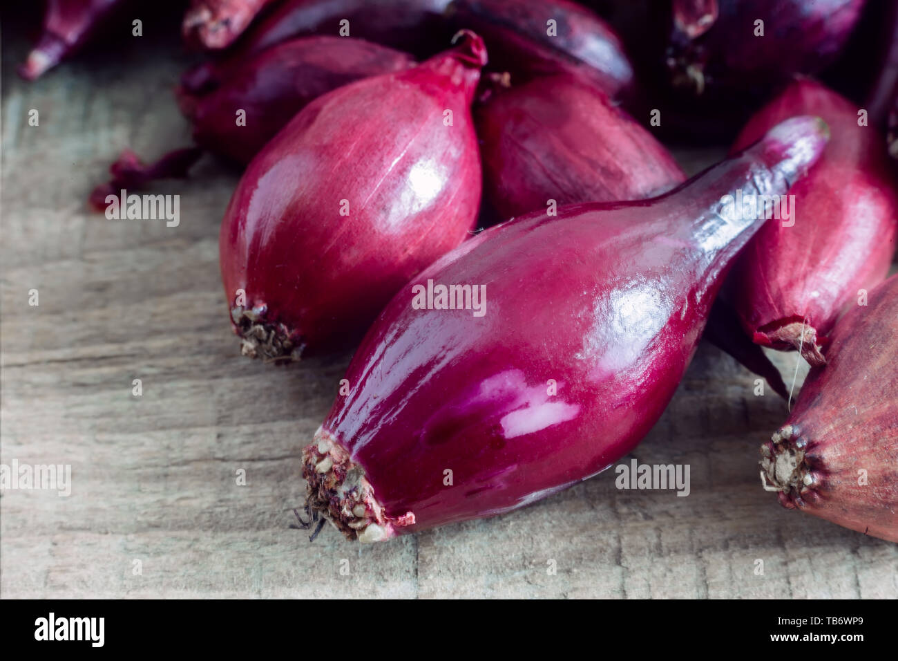 Seed: small purple onion bulbs for planting in soil Stock Photo - Alamy