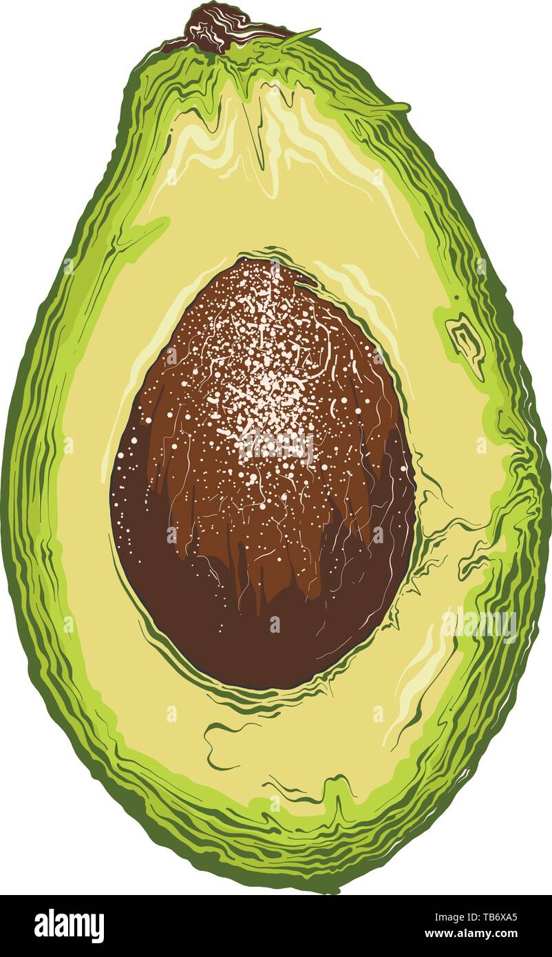 Black white cartoon illustration avocado hi-res stock photography and ...