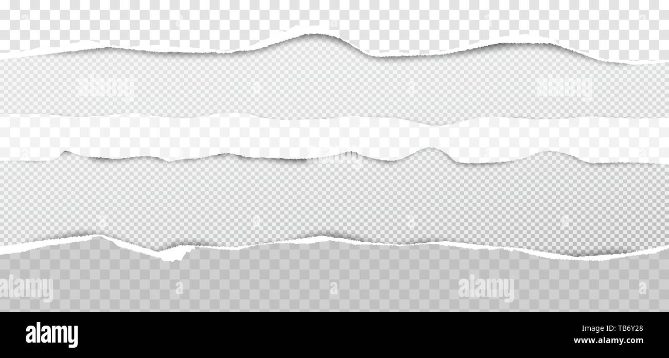 Set of torn, ripped, squared paper strips with soft shadow are on white ...