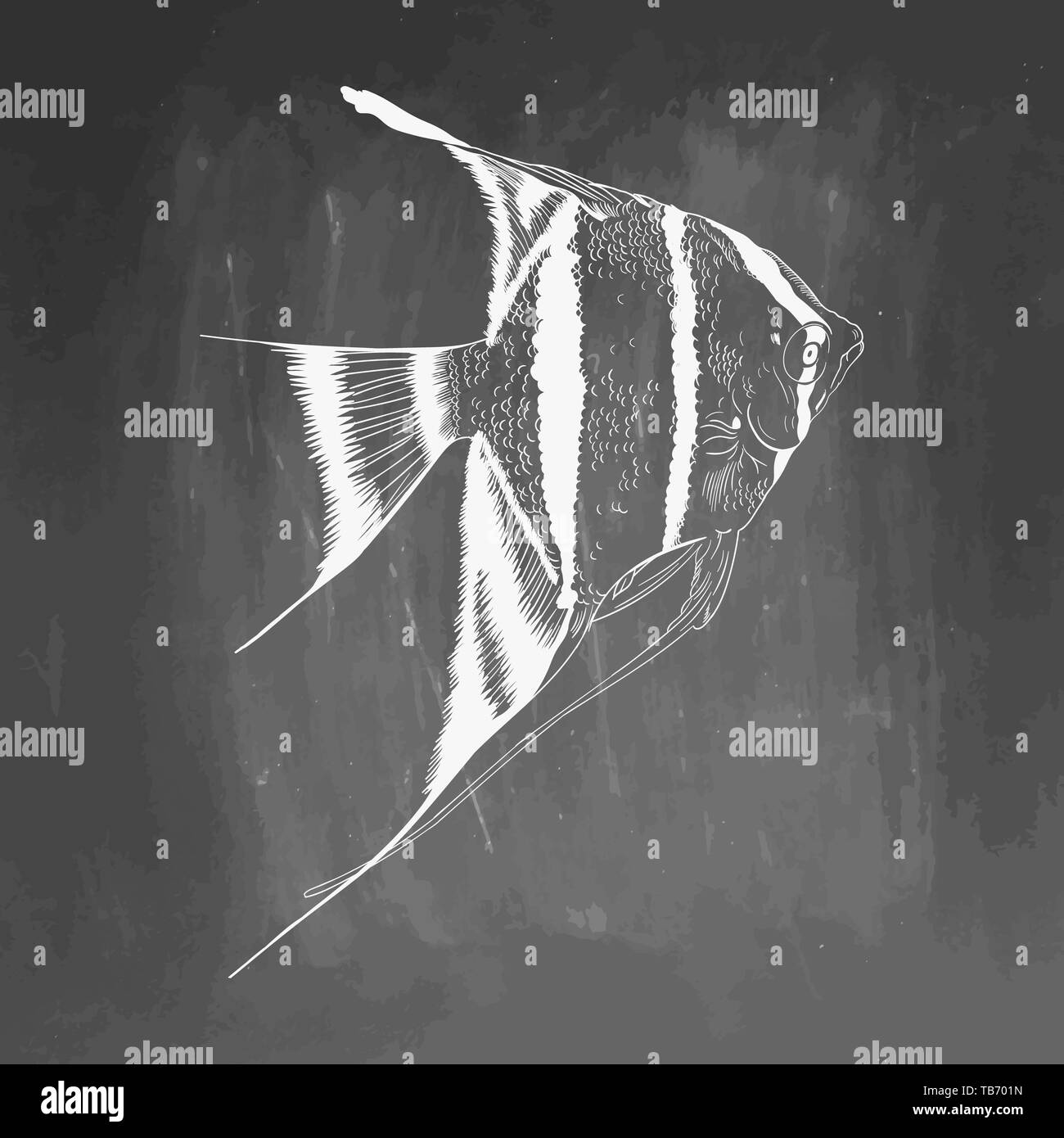 Hand Drawn Aquarium Fish Sketch. Elements isolated on chalkboard ...
