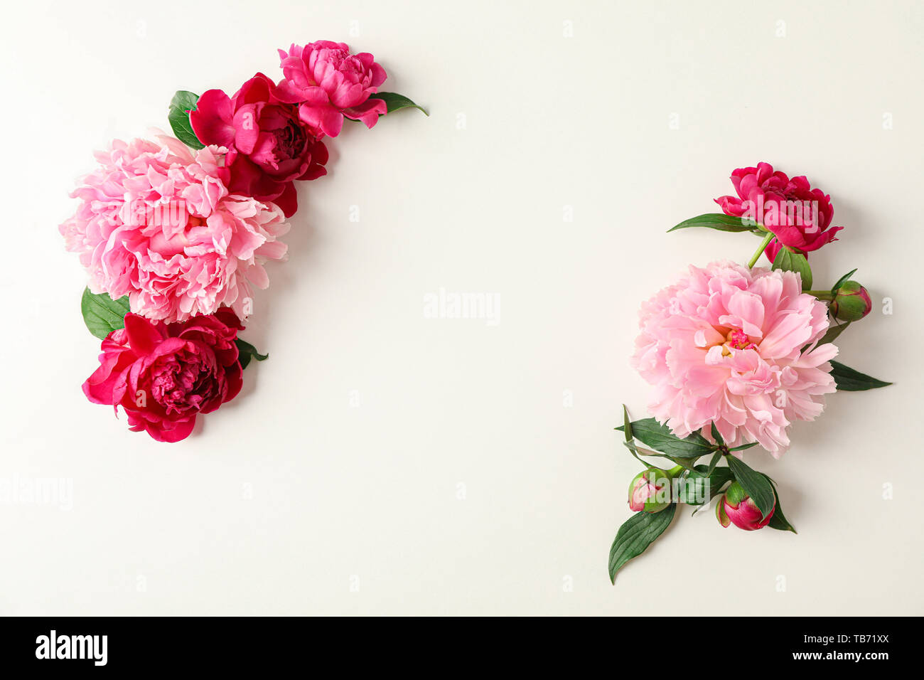 Flat lay composition with beautiful peonies on white background, space ...