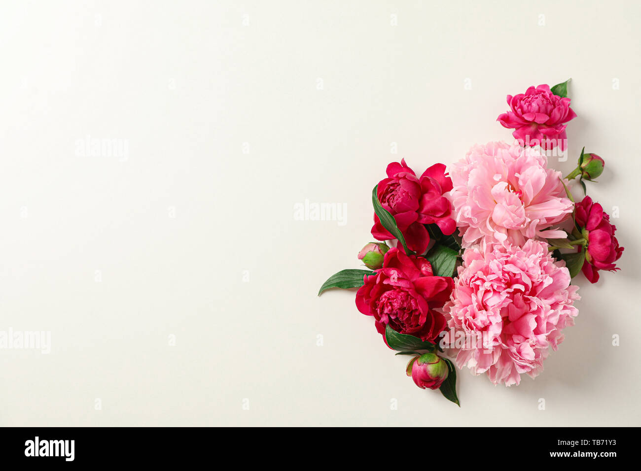 Flat lay composition with beautiful peonies on white background, space ...